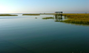 Awendaw’s Missing Money ~ Grand Strand Daily